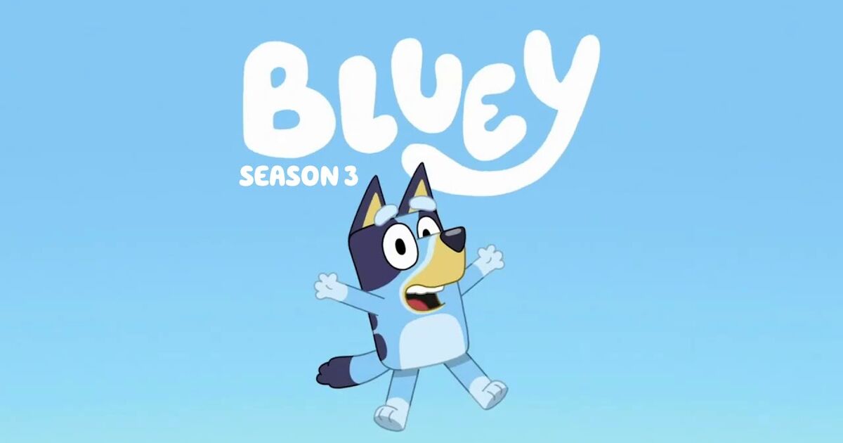 Bluey Top 30 | City Bible Forum