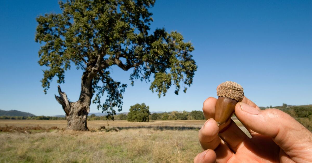 From Little Things Big Things Grow | City Bible Forum